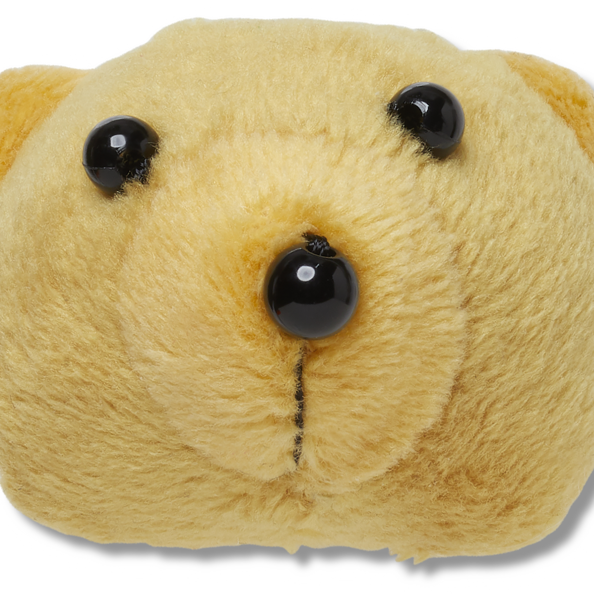 JIBBITZ TEDDY BEAR FACE – Crocs Jordan